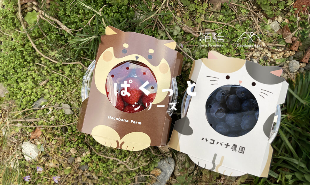 main_pc_paku | オリジナルの野菜袋・パッケージ制作はteam Hacobana